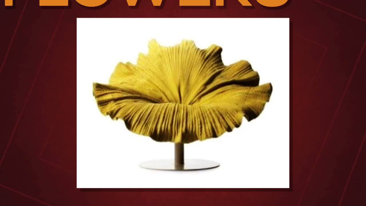 Amazing Chair Designs Inspired by Nature - YouTube