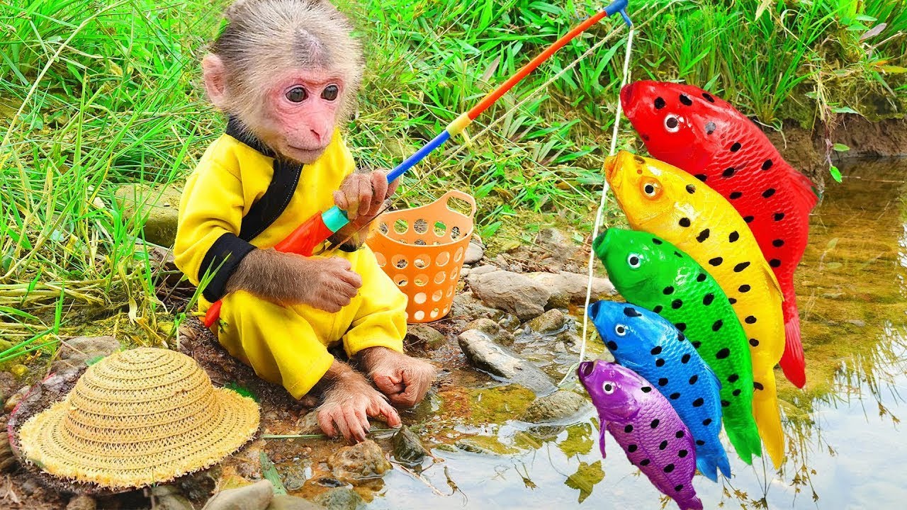 As aventuras da Bibi e dos seus amigos divertidos - YouTube