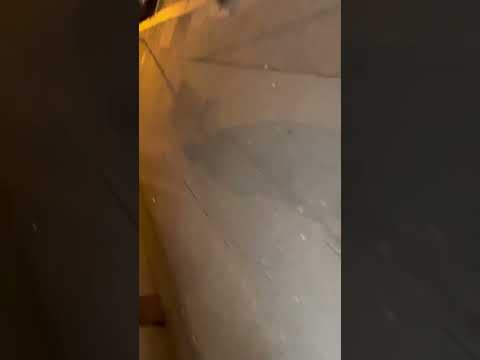 【英語日記】2日目 空手について喋りました！