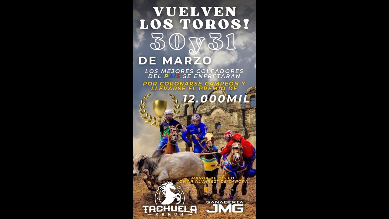 TOROS COLEADOS CARORA TACHUELA RANCH DIA 2 - YouTube