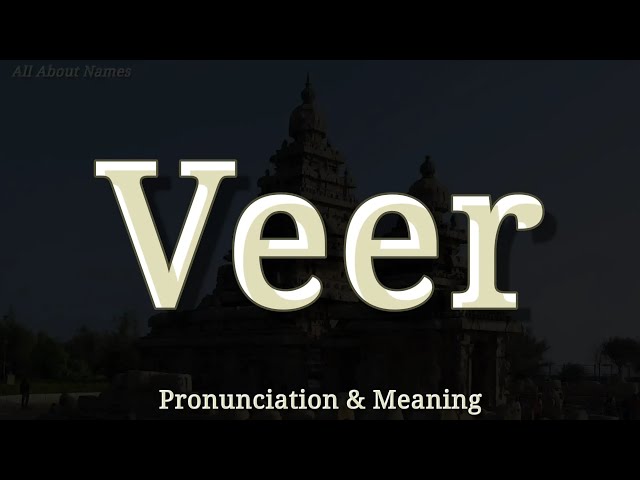 Veer Name Logo Veer Logo Ontwerp Vector Sjabloon. Veer Logo Voor Een