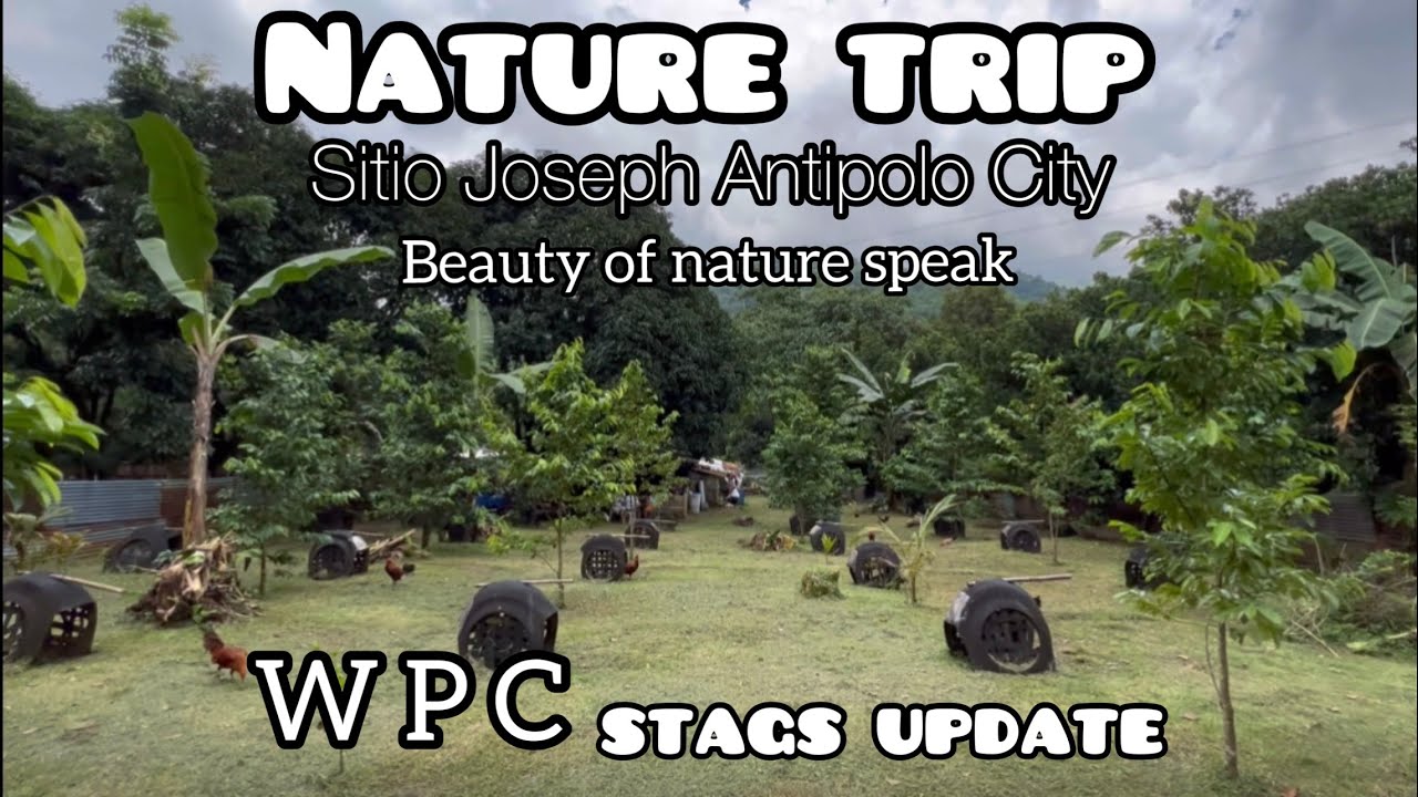 WPC STAGS UPDATE / NATURE TRIPPING #nature #trip #roadtrip #wpc - YouTube