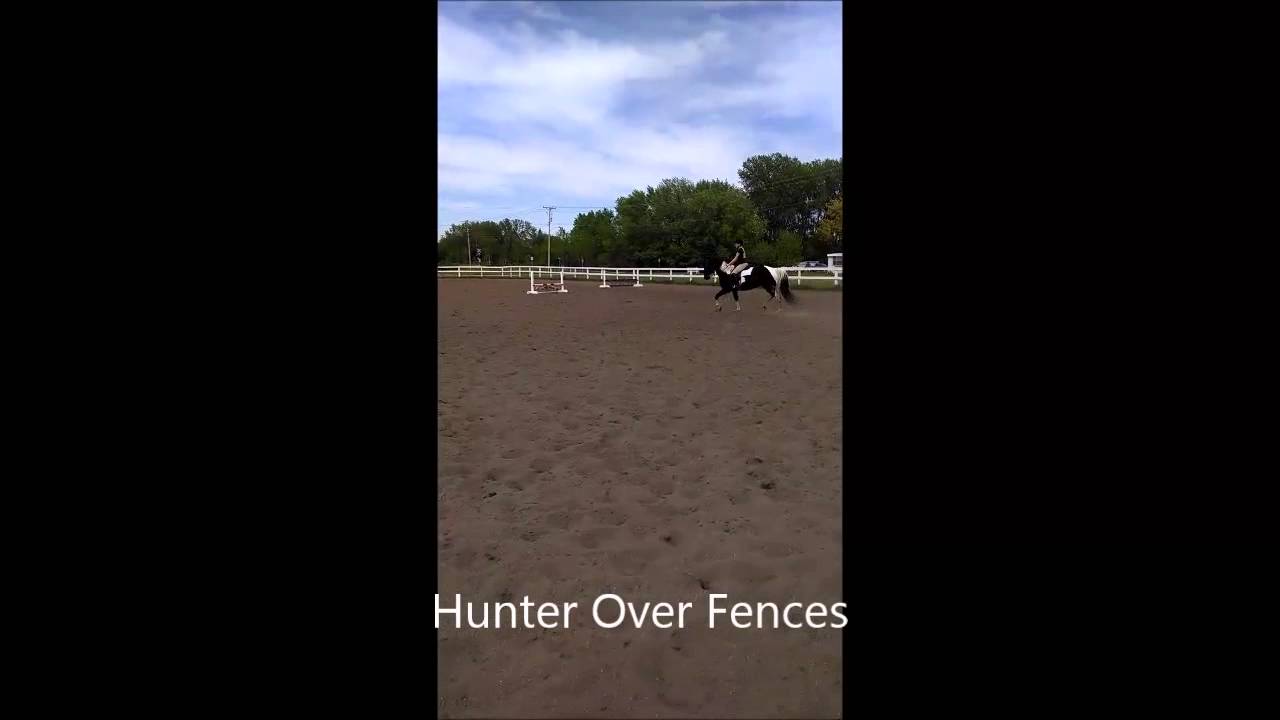 Cross Rails/Hunter Over Fences - YouTube