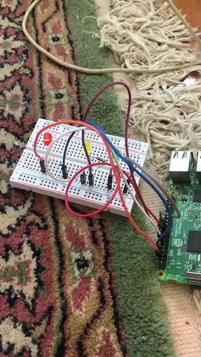 SIT210 5.2C Making GUI - YouTube