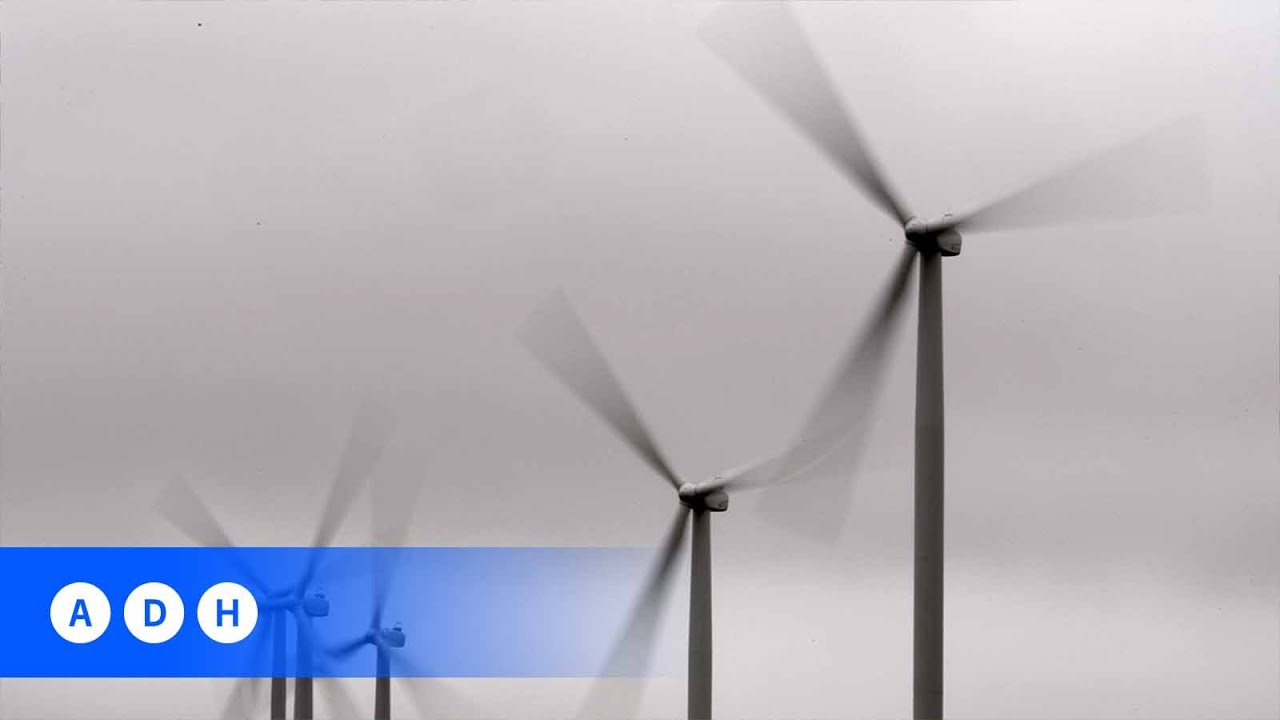 ‘Environmental vandals’ want to destroy Chalumbin Forest with wind ...