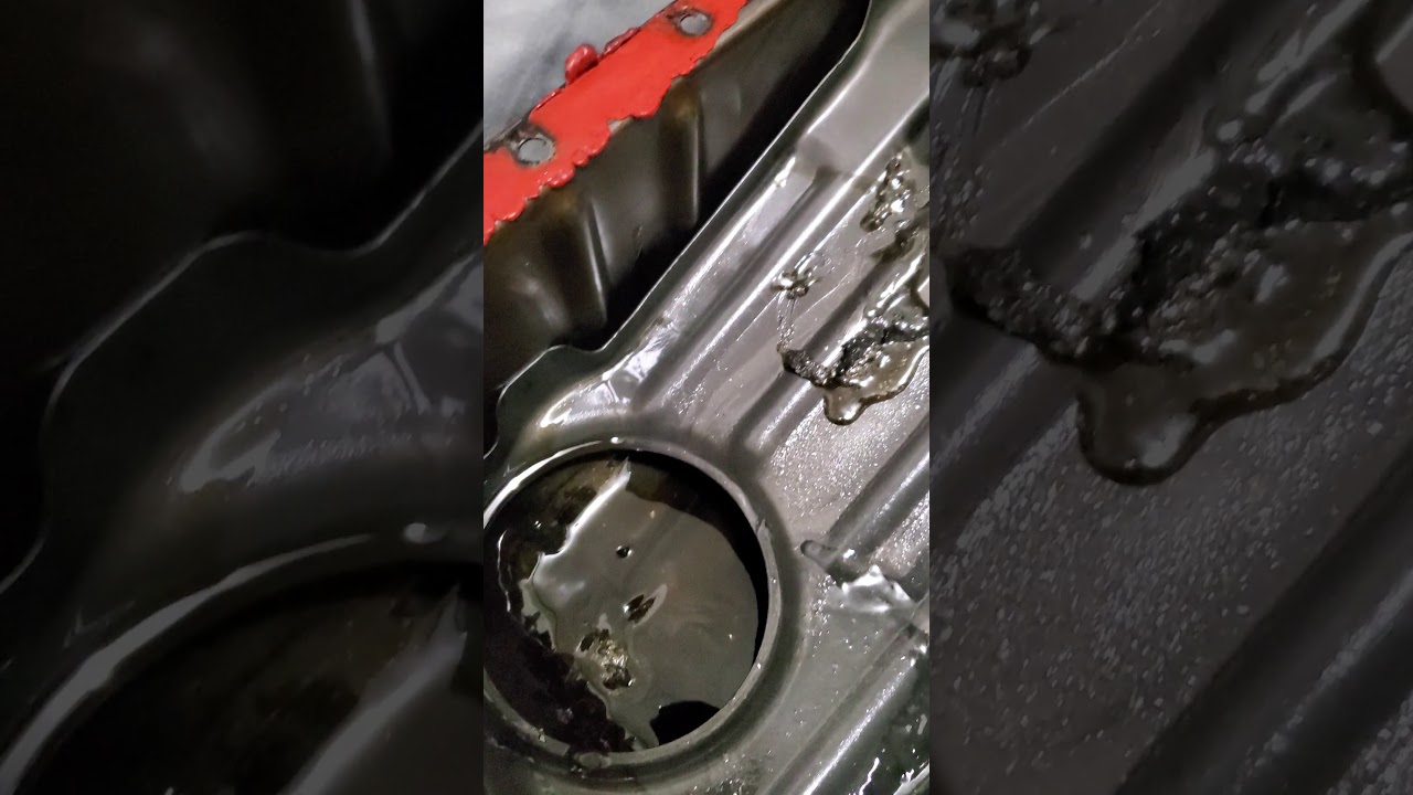 Womp womp #2 took a #2 - YouTube