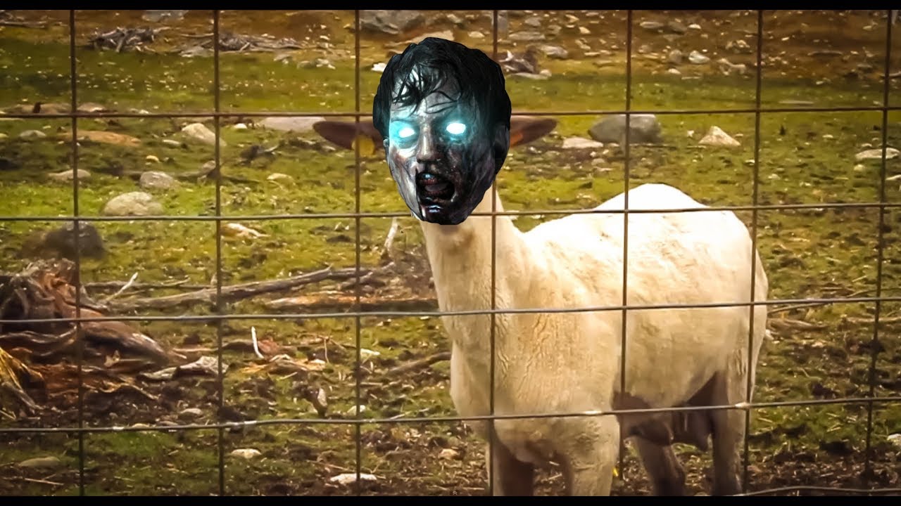 BO1 screaming zombie meme - YouTube