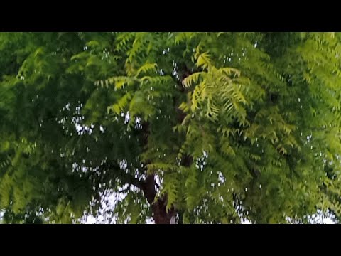 DAY-13(PRACTICE CLASS)BASIC MATH - YouTube