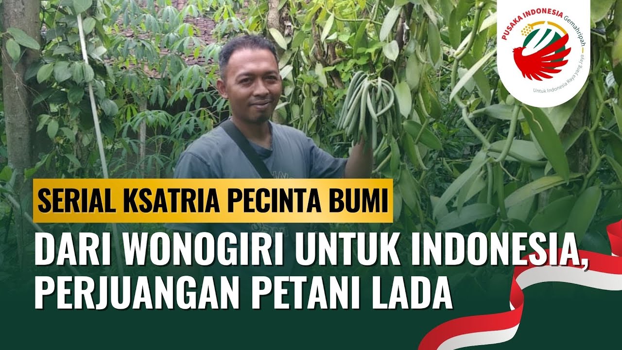 Dari Wonogiri untuk Indonesia, Perjuangan Petani Lada # ...