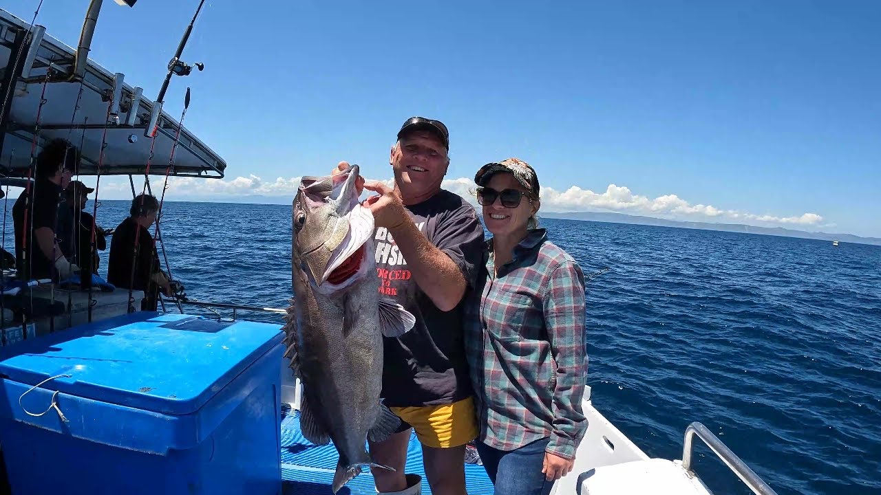 Wellington Fishing Charters in the Cook straight from Mana - YouTube
