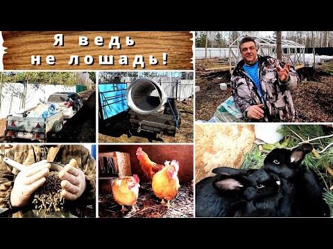 От работы кони дохнут, хорошо что я не лошадь. - YouTube