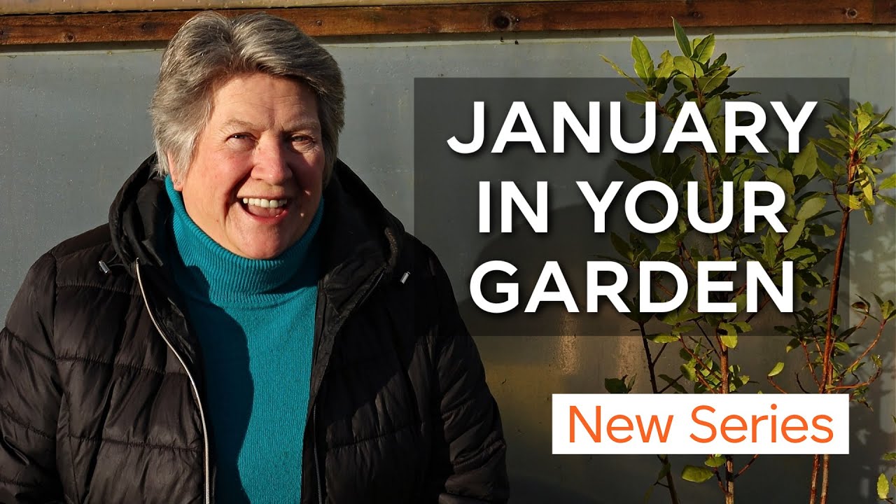What to do in garden January | Monthly gardening guide - YouTube