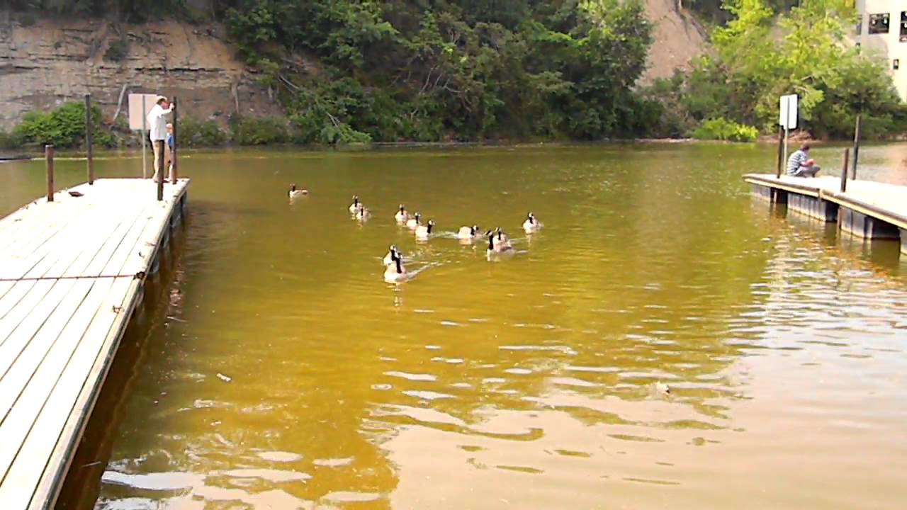 Rocky River Ohio Boat Dock - YouTube