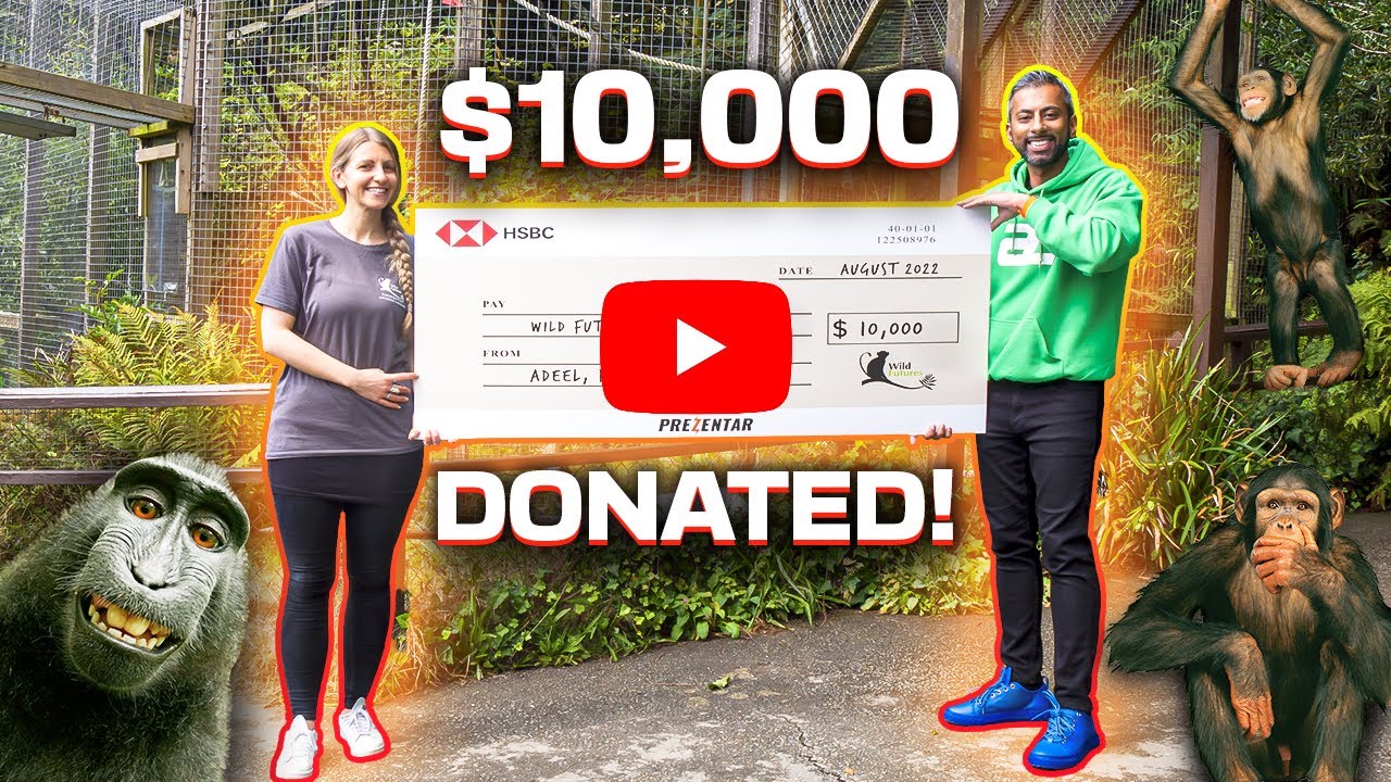 $10,000 Donated to MONKEYS?! - YouTube