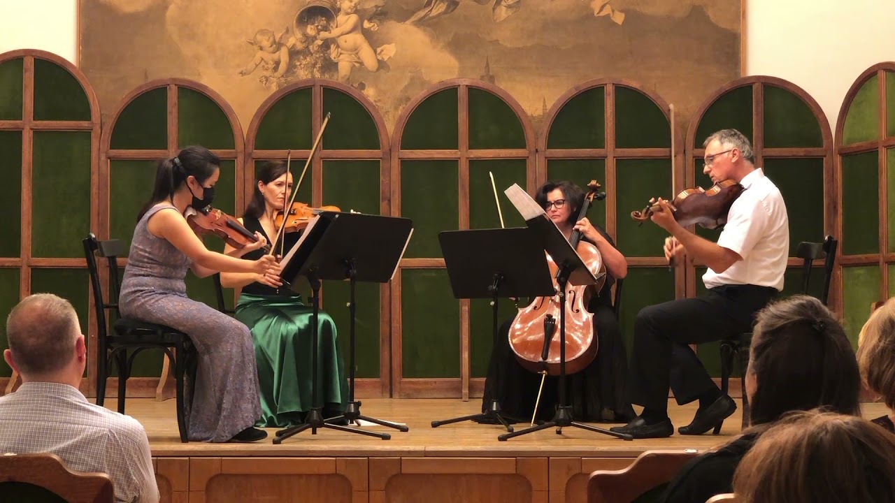 Wires - Andrea Vanzo (performed by Central European String Quartet) - YouTube