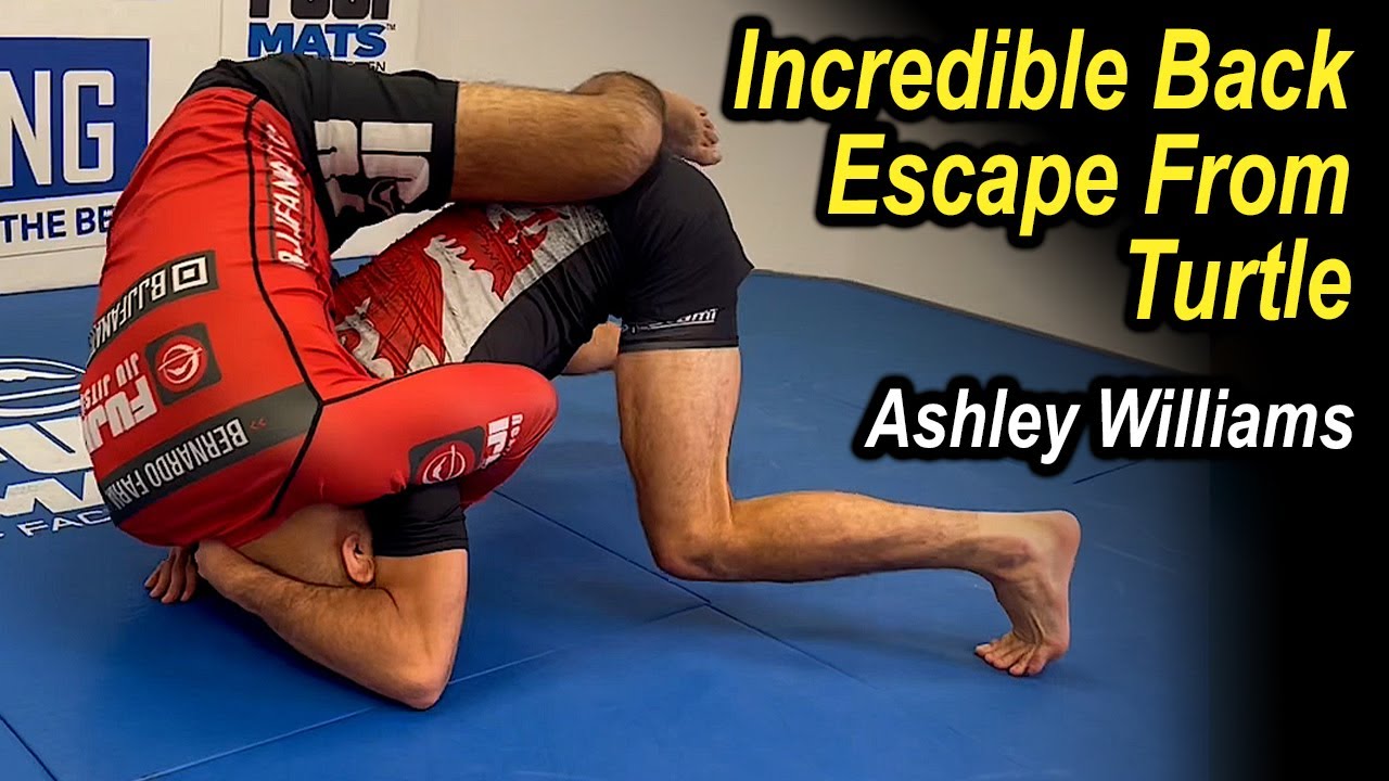 Incredible Back Escape from Turtle by Ashley Williams - YouTube