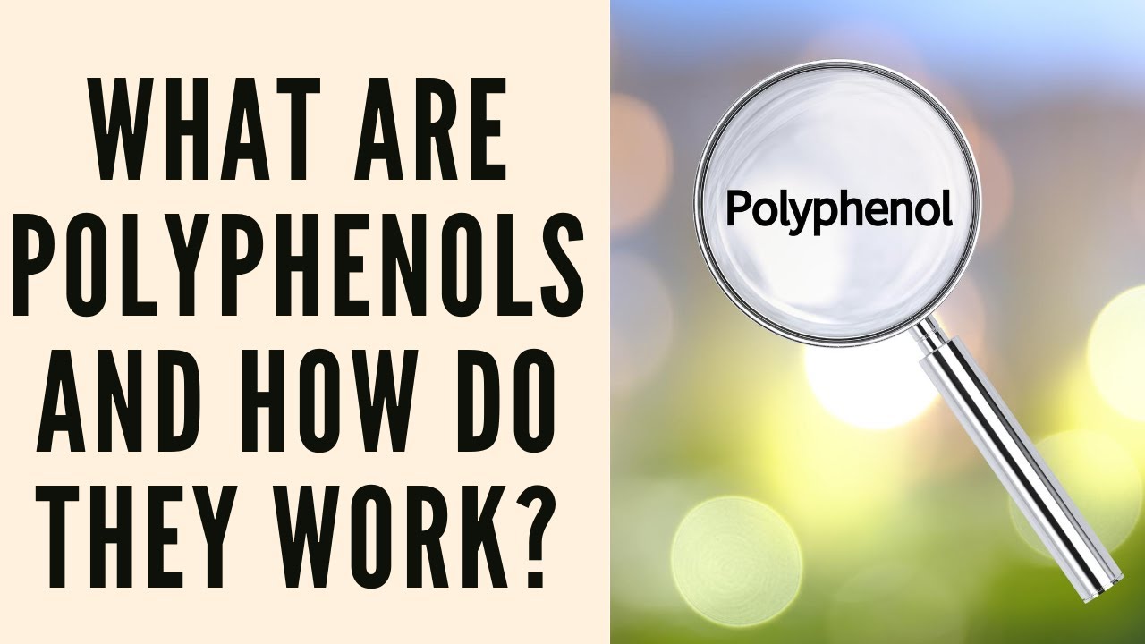 What Are Polyphenols And How Do They Work? - YouTube