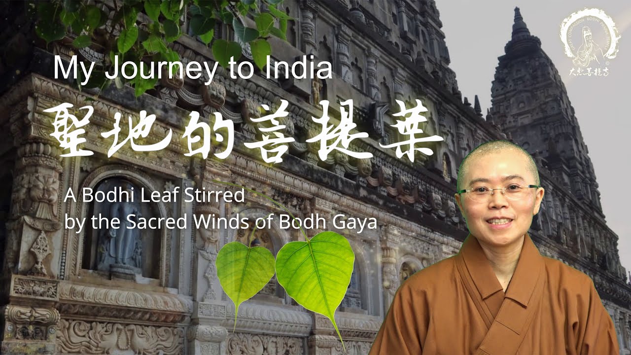 印度求法行🙏 ｜佛陀成道聖地：菩提迦耶正覺大塔｜Journey to Bodh Gaya｜Mahabodhi Stupa Bodhi Leaf ...