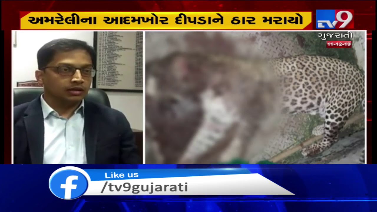 Gujarat: 'Man-eater leopard' shot dead in Bagasara, confirms Amreli ...