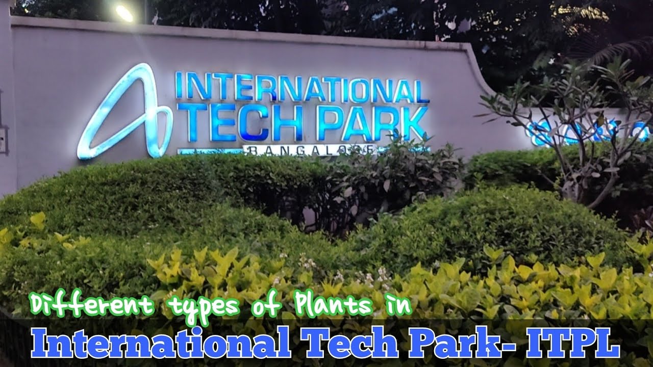 Different types of Plants in ITPL Bangalore | International Tech Park # ...