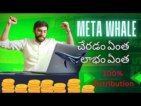 meta whale project plan presentation - YouTube
