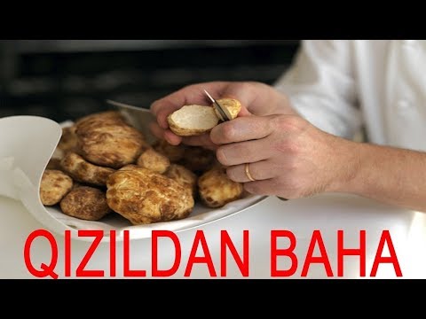 Bunları Bilsəniz Hər Gün Dombalan Yeyəcəksiz