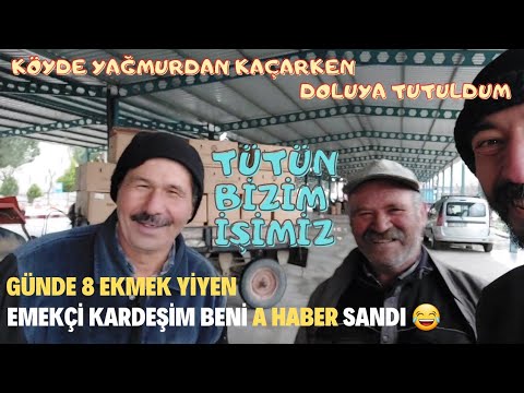 KÖYDEN ABİLERLE TÜTÜNE DAİR | ŞEHİRDEN KÖYE GÖÇ