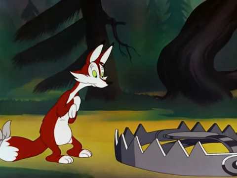 A Fox's Terrible Misunderstanding! \