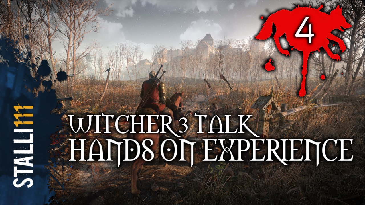 The Witcher 3: Wild Hunt | Hands on Experience & Player Opinions - YouTube
