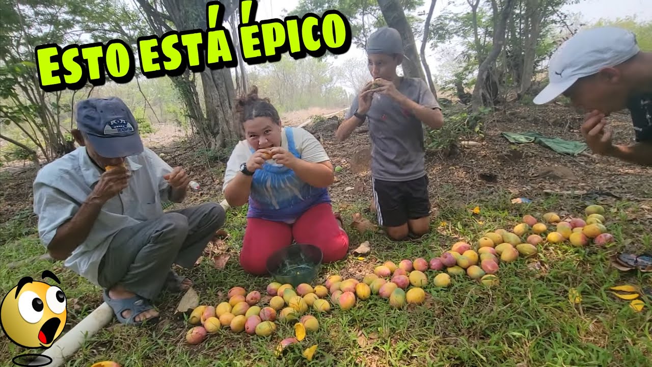 Gran comelona de Mangos Gane el mejor 👏😱 - YouTube