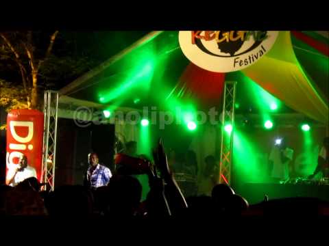 Reggae on the Beach 2012