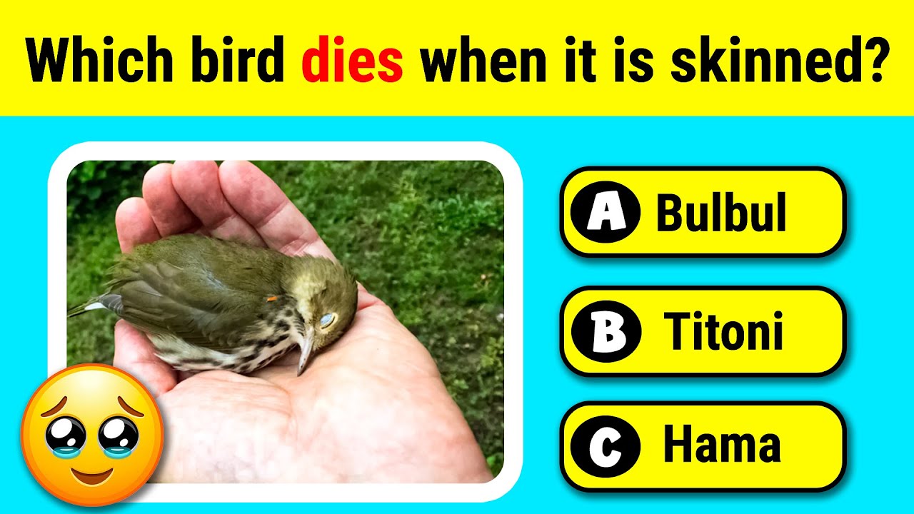 Which bird dies when it is skinned? Let's see if you can answer it ...