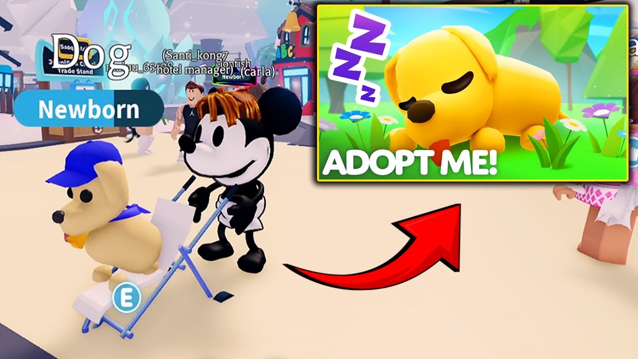 [WINTER ️] Adopt Me! - I adopted one dog and we travel to beach for a ...