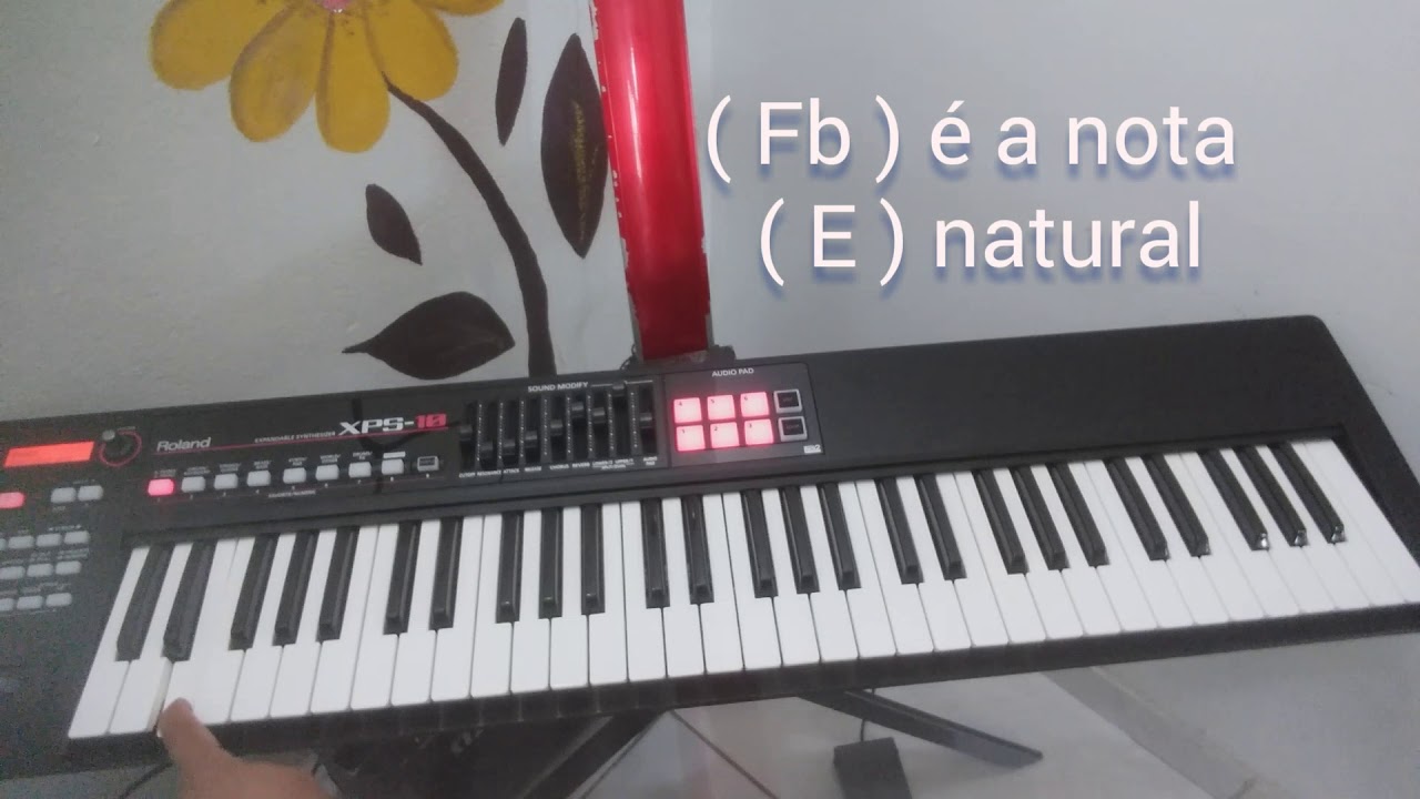 Aprendendo as notas ( Bemol ) - YouTube