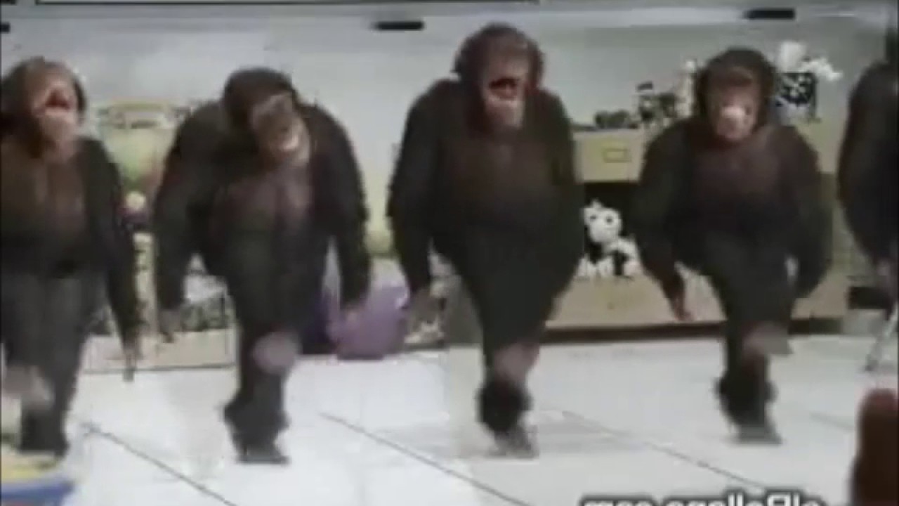 Jump like a monkey !! (funny dance) - YouTube