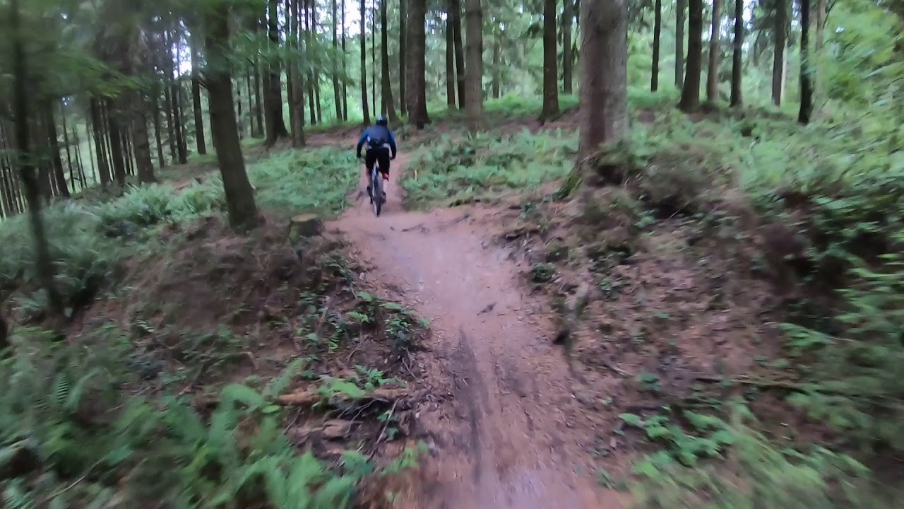 Triscombe MTB Downhill Trails - Great Wood - Seven Wells Wood DH - YouTube