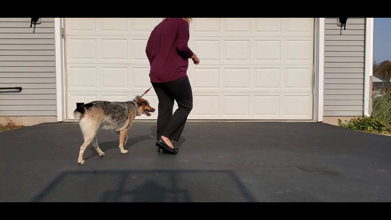 Figure 8s - Active Balance Exercise - YouTube