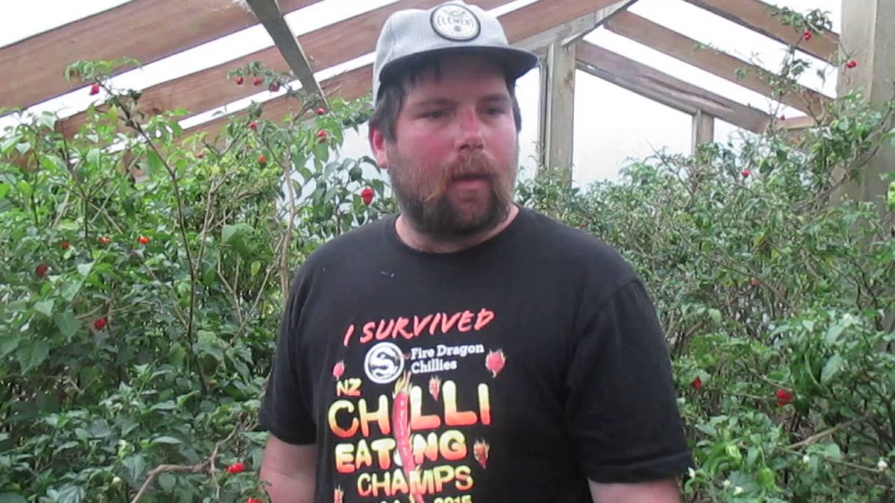 NZ Chilli Eating Champion eats a Red Brazilian Ghost - YouTube