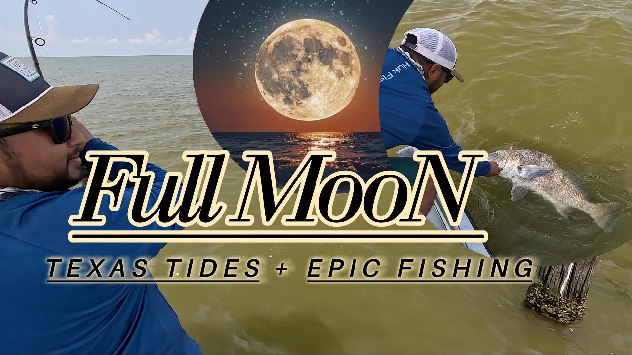 Fishing at Texas City After the full Moon... Rods Stayed Bent - YouTube
