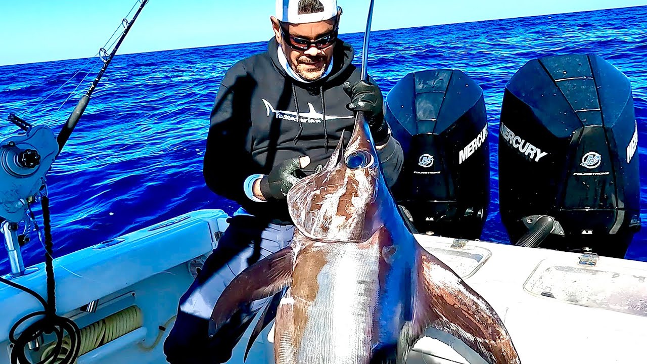 Swordfish 101: How To Fillet A Swordfish - YouTube