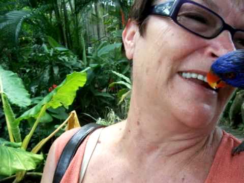 lillian & bird singapore.MOV - YouTube