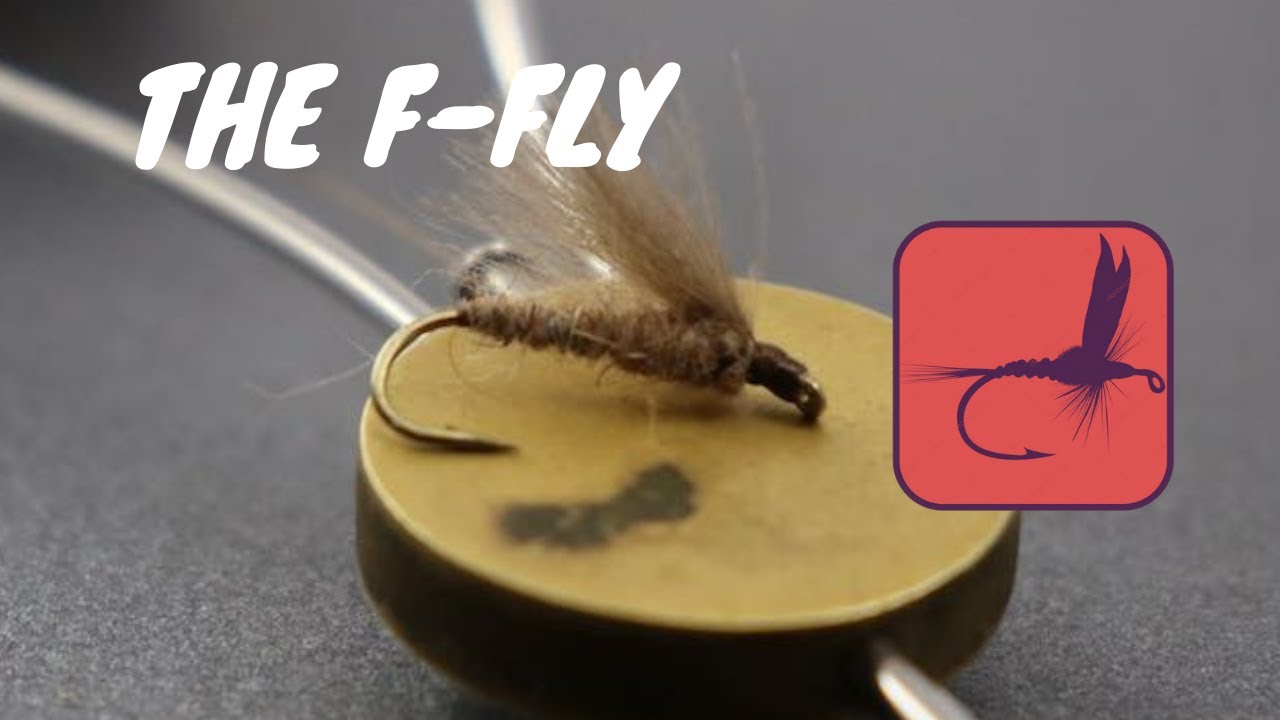 Tying the F Fly: a great mayfly/caddis pattern for fussy trout - YouTube