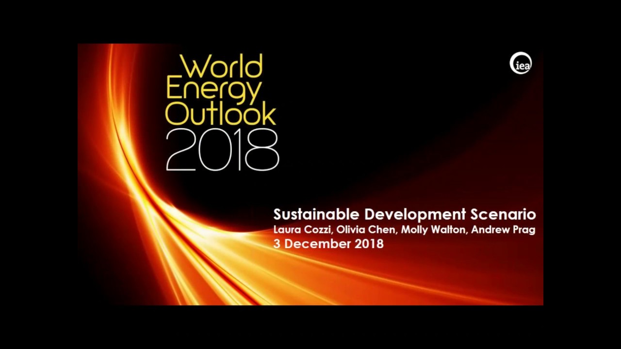 Webinar on Sustainable Development Scenario - YouTube