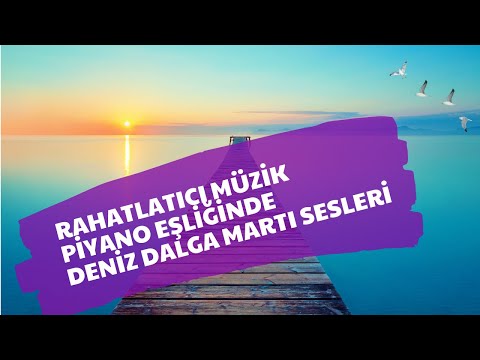 Rahatlatıcı Müzikler | Meditasyon Müziği | Piyano Deniz Martı Sesleri | Relaxing Music | Alfa Music