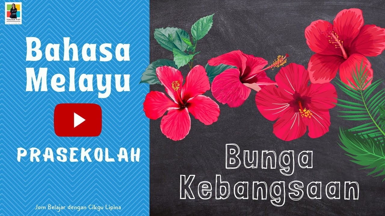 Identiti Negara : Bunga Kebangsaan dan Rukun Negara - YouTube