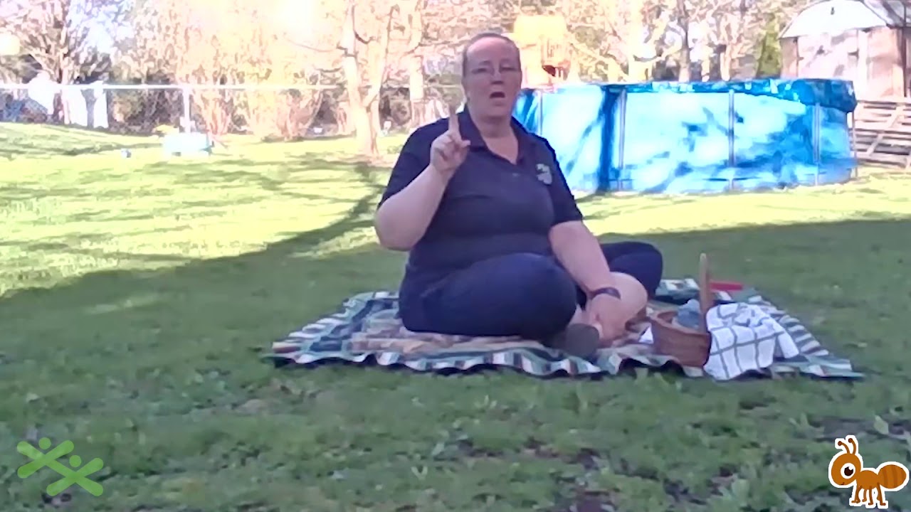 Circle Time : Family Picnic Song - YouTube