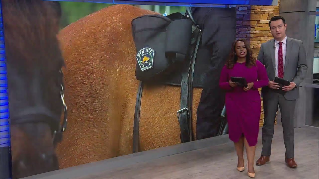 APD's Mounted Patrol unit trains for managing big crowds - YouTube