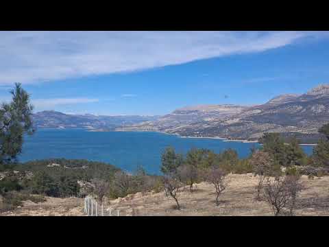 Freud’un Incest Yasağı Teorisinin Çöküşü (1)