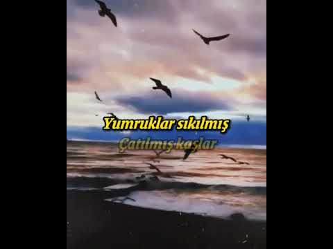 Şehidler Ölmez - Neşid (Müziksiz)