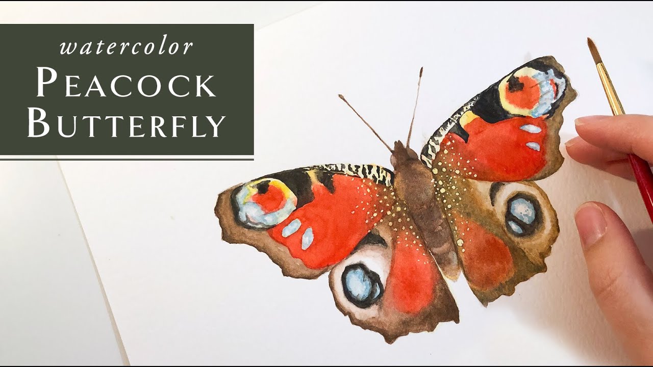 Colorful Butterfly Watercolor Tutorial for Beginners - Peacock ...